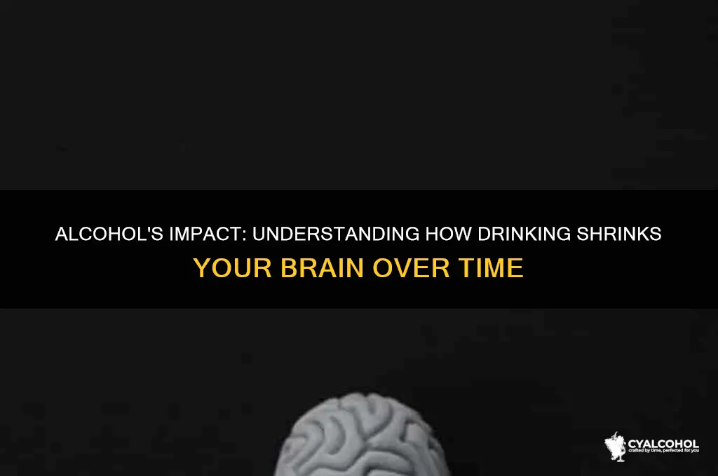 Alcohol's Impact: Understanding How Drinking Shrinks Your Brain Over ...