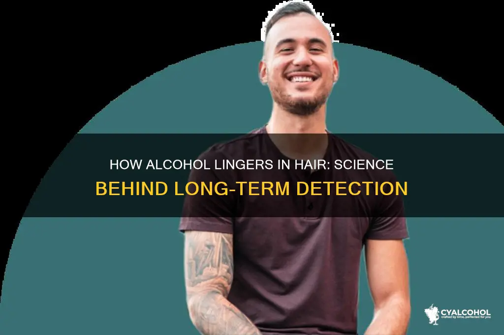 How Alcohol Lingers In Hair: Science Behind Long-Term Detection | CyAlcohol