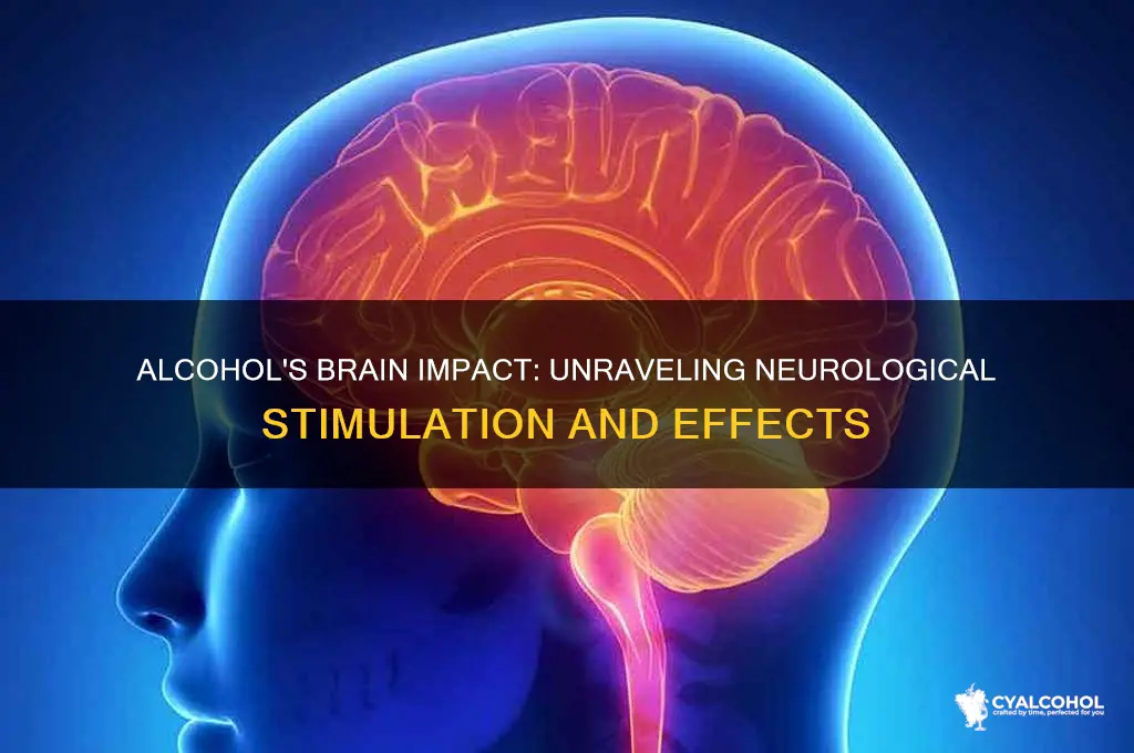 Alcohol's Brain Impact: Unraveling Neurological Stimulation And Effects ...