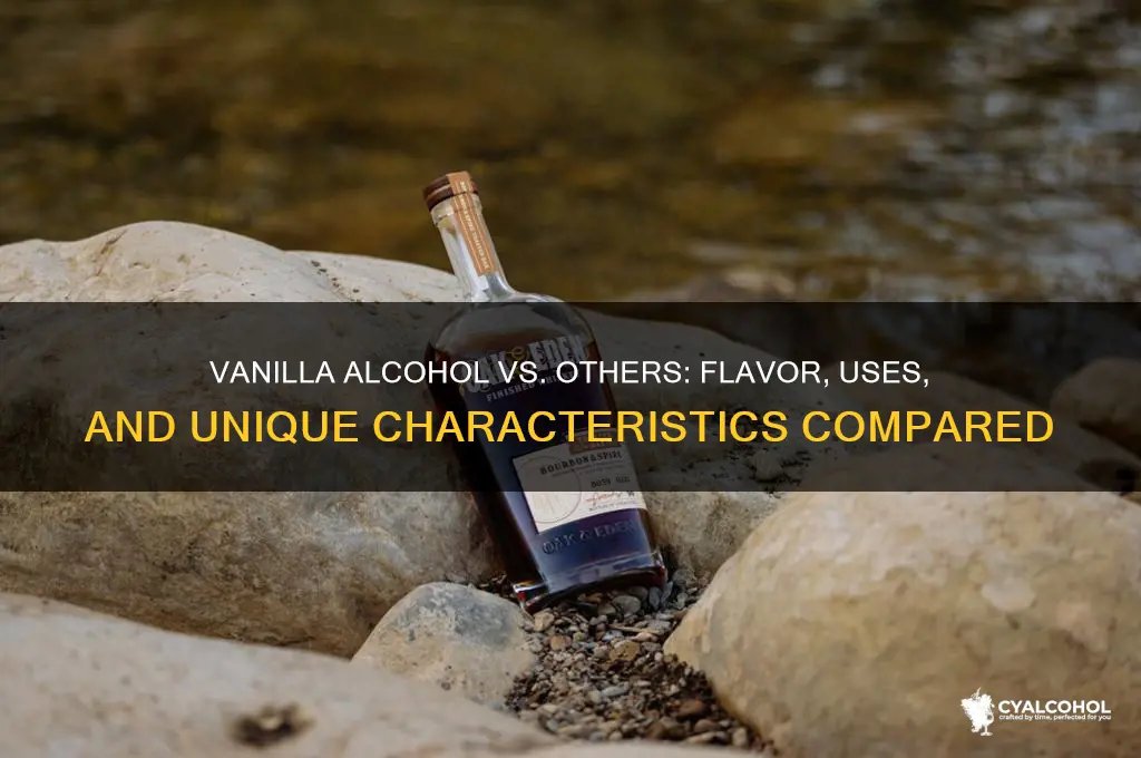 Vanilla Alcohol Vs. Others: Flavor, Uses, And Unique Characteristics ...
