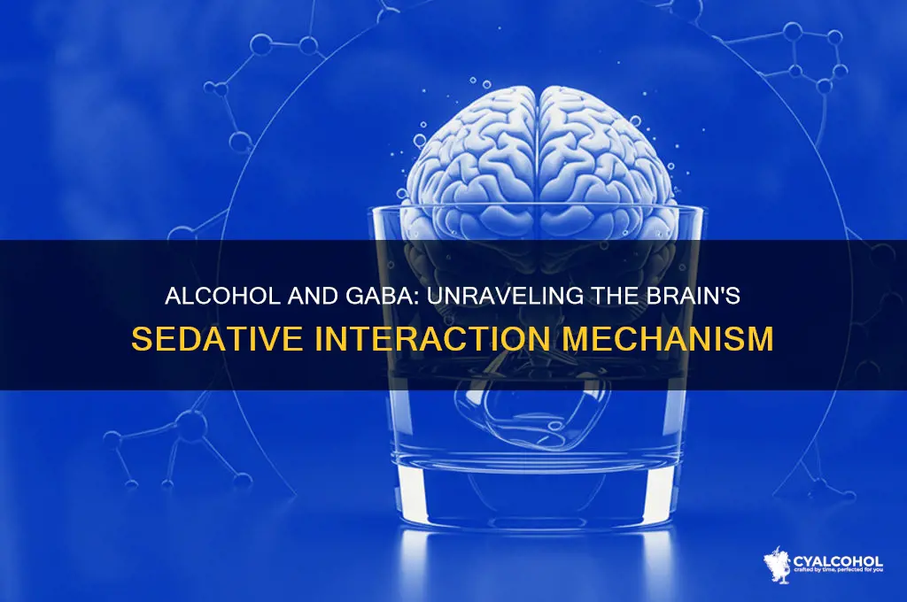 Alcohol And Gaba: Unraveling The Brain's Sedative Interaction Mechanism ...
