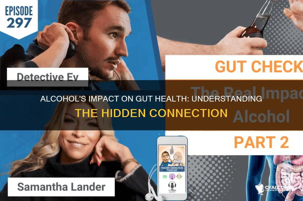 Alcohol's Impact On Gut Health: Understanding The Hidden Connection ...