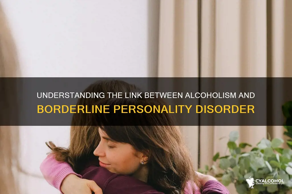 Understanding The Link Between Alcoholism And Borderline Personality ...