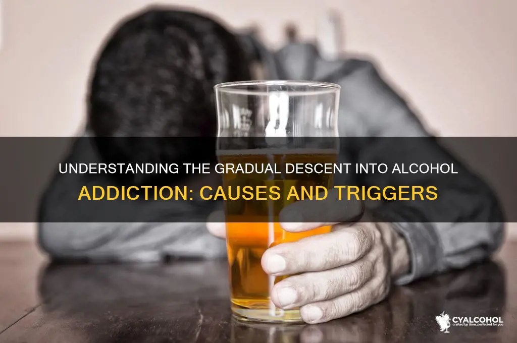 Understanding The Gradual Descent Into Alcohol Addiction: Causes And ...