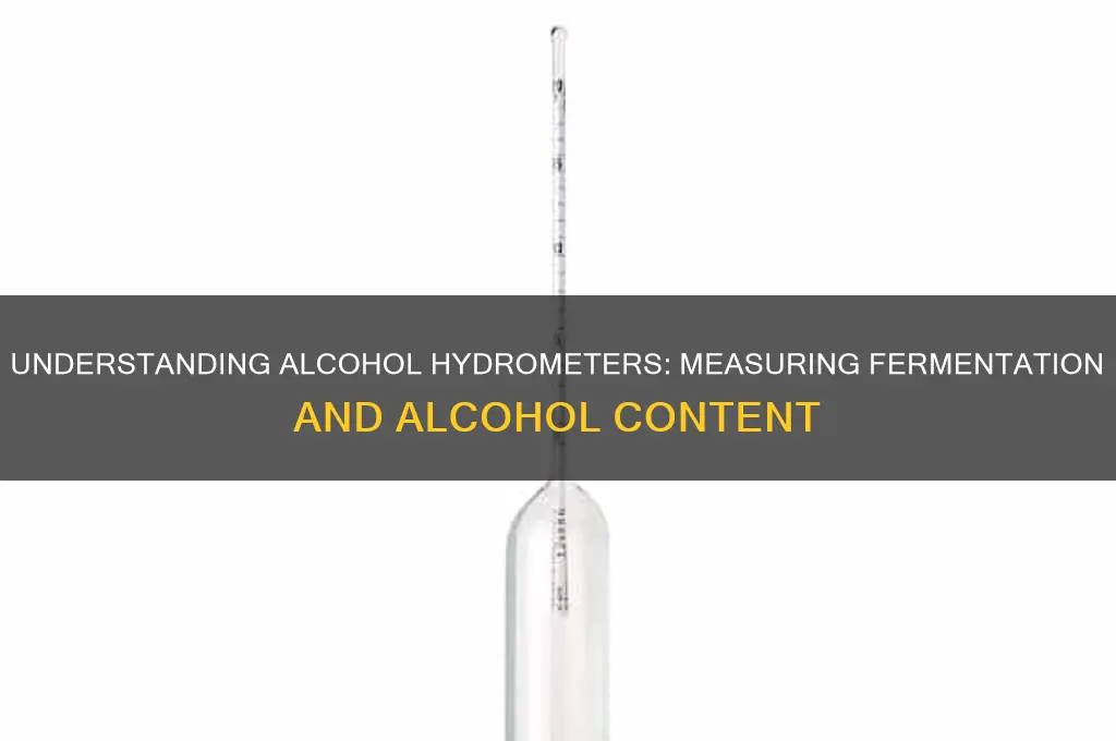 Understanding Alcohol Hydrometers: Measuring Fermentation And Alcohol ...