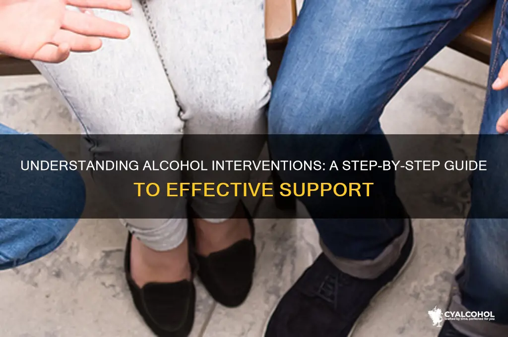Understanding Alcohol Interventions: A Step-By-Step Guide To Effective ...