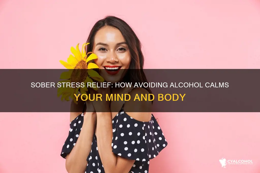 Sober Stress Relief: How Avoiding Alcohol Calms Your Mind And Body ...