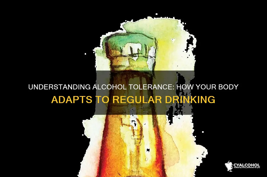 Understanding Alcohol Tolerance: How Your Body Adapts To Regular ...