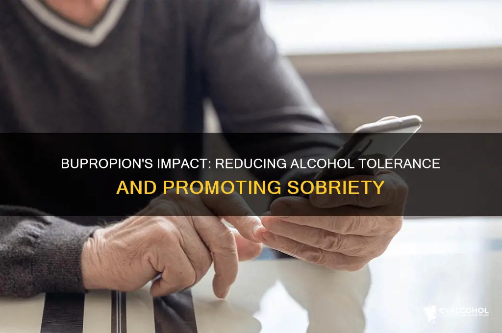 Bupropion's Impact: Reducing Alcohol Tolerance And Promoting Sobriety ...