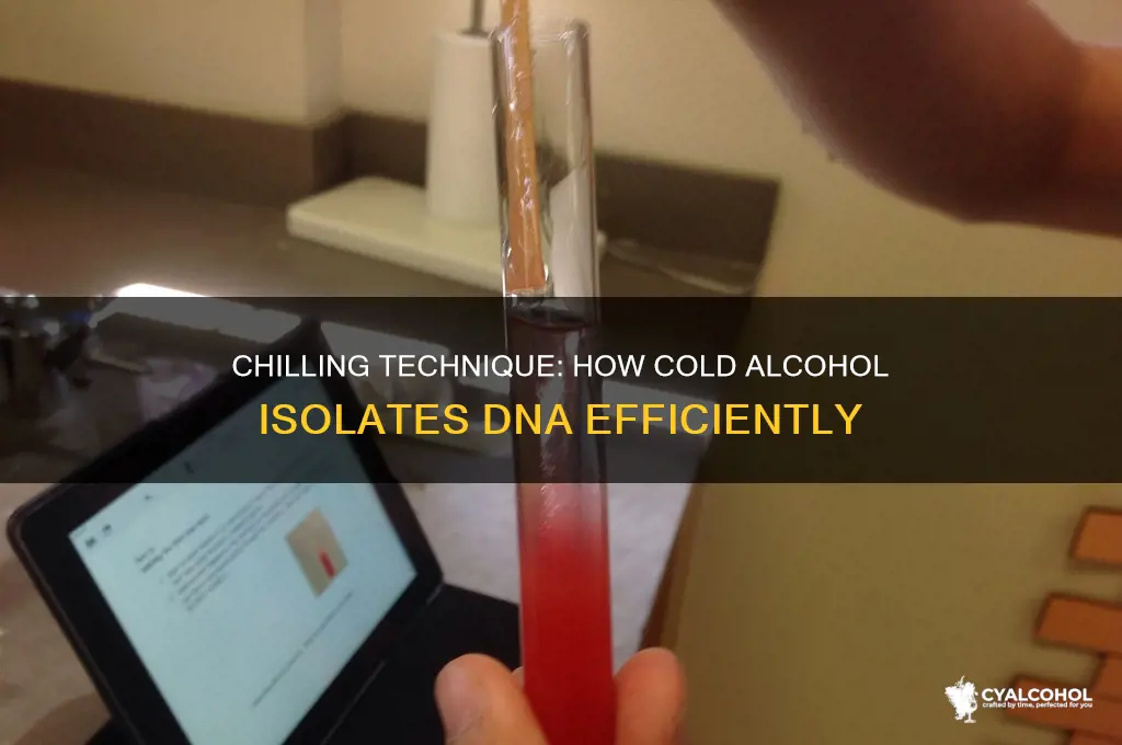Chilling Technique: How Cold Alcohol Isolates Dna Efficiently | CyAlcohol
