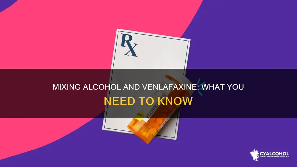 Mixing Alcohol And Venlafaxine: What You Need To Know | CyAlcohol