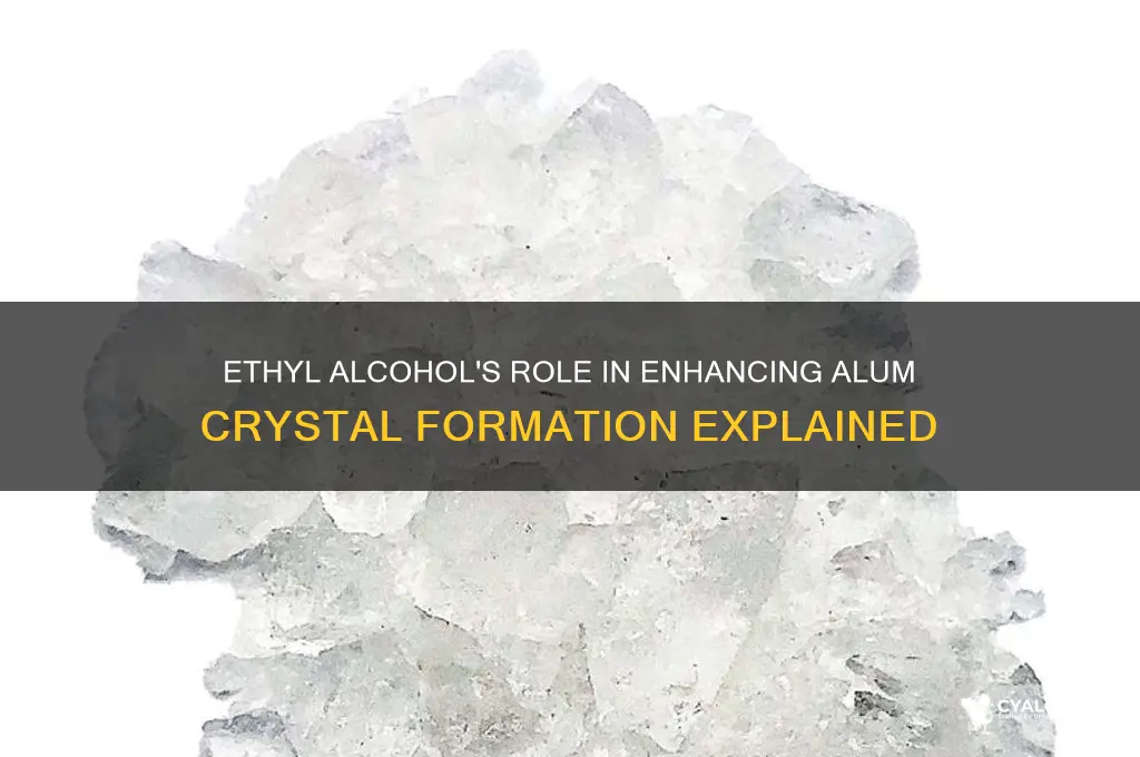 Ethyl Alcohol's Role In Enhancing Alum Crystal Formation Explained ...