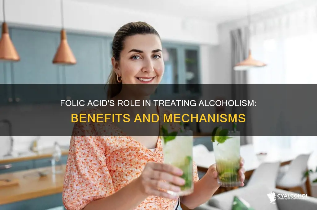 Folic Acid's Role In Treating Alcoholism: Benefits And Mechanisms ...
