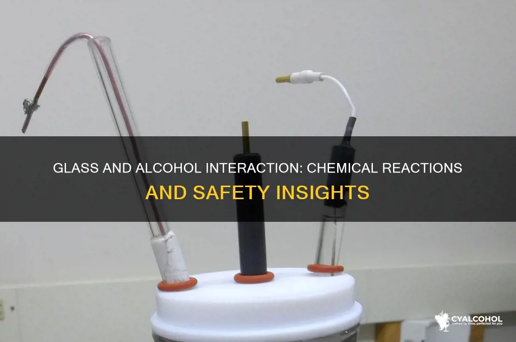 Glass And Alcohol Interaction: Chemical Reactions And Safety Insights ...