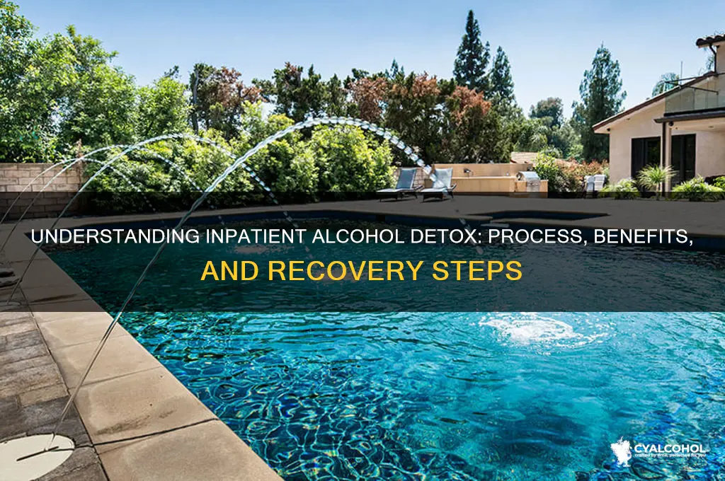 Understanding Inpatient Alcohol Detox: Process, Benefits, And Recovery ...