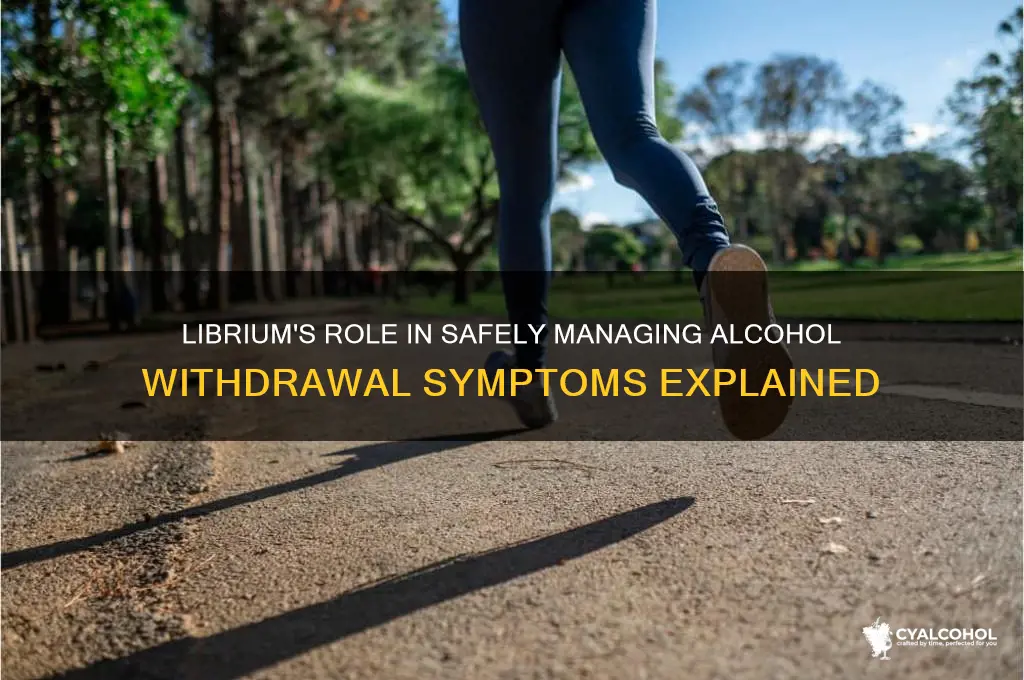 Librium's Role In Safely Managing Alcohol Withdrawal Symptoms Explained ...