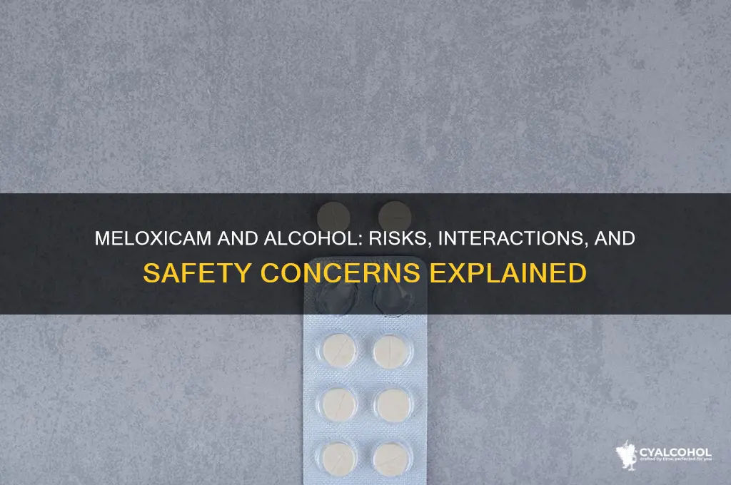 Meloxicam And Alcohol: Risks, Interactions, And Safety Concerns ...