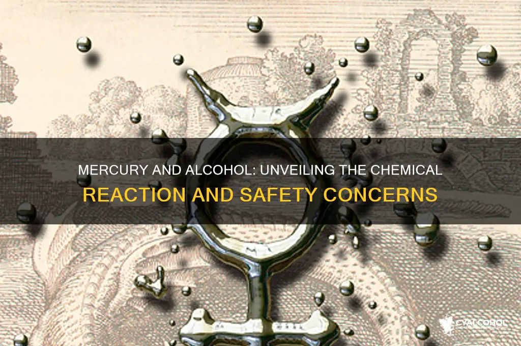 Mercury And Alcohol: Unveiling The Chemical Reaction And Safety ...