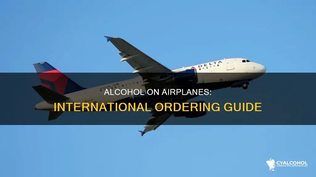 Alcohol On Airplanes: International Ordering Guide | CyAlcohol