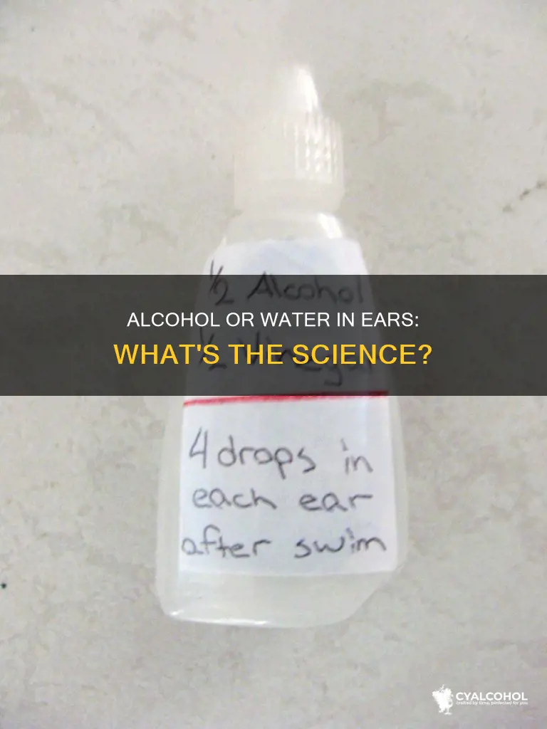 Alcohol Or Water In Ears: What's The Science? | CyAlcohol