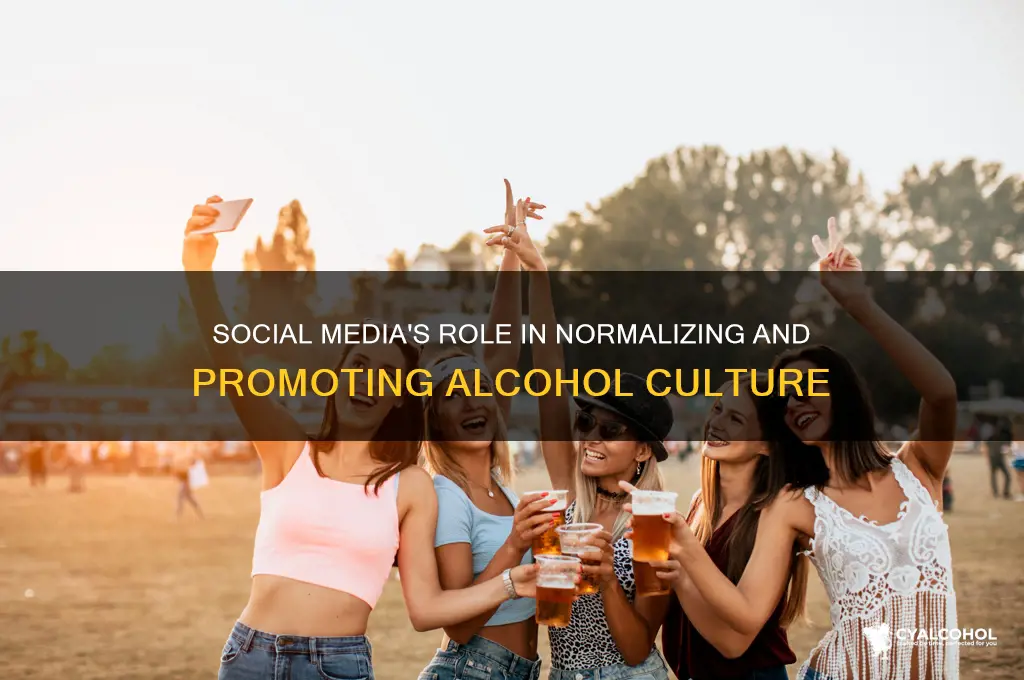 Social Media's Role In Normalizing And Promoting Alcohol Culture ...