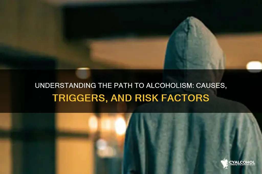 Understanding The Path To Alcoholism: Causes, Triggers, And Risk ...