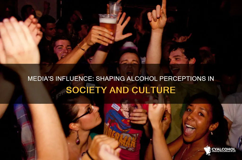 Media's Influence: Shaping Alcohol Perceptions In Society And Culture ...