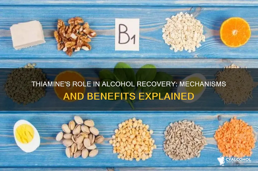 Thiamine's Role In Alcohol Recovery: Mechanisms And Benefits Explained ...