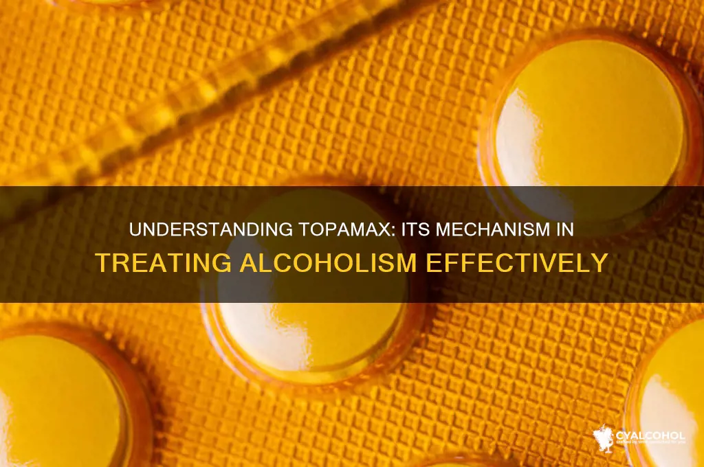 Understanding Topamax: Its Mechanism In Treating Alcoholism Effectively ...