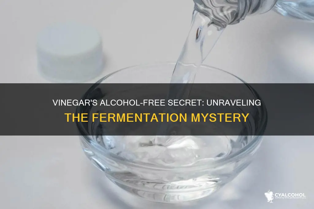 Vinegar's Alcohol-Free Secret: Unraveling The Fermentation Mystery ...