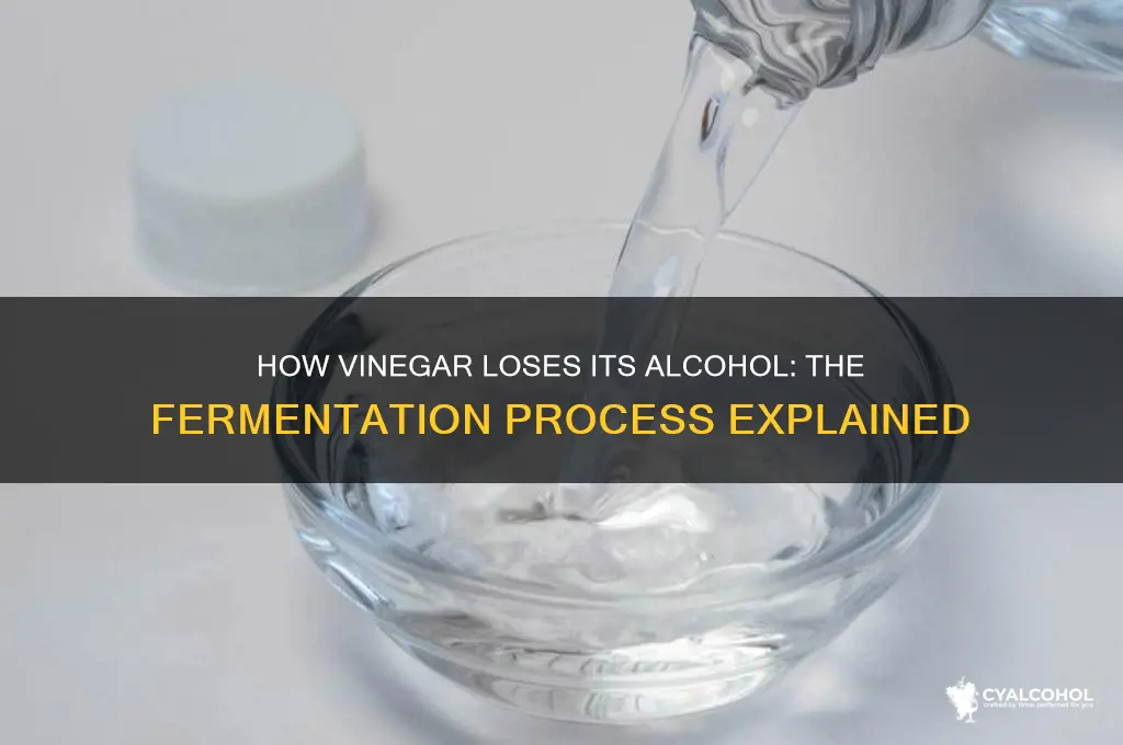 How Vinegar Loses Its Alcohol: The Fermentation Process Explained ...