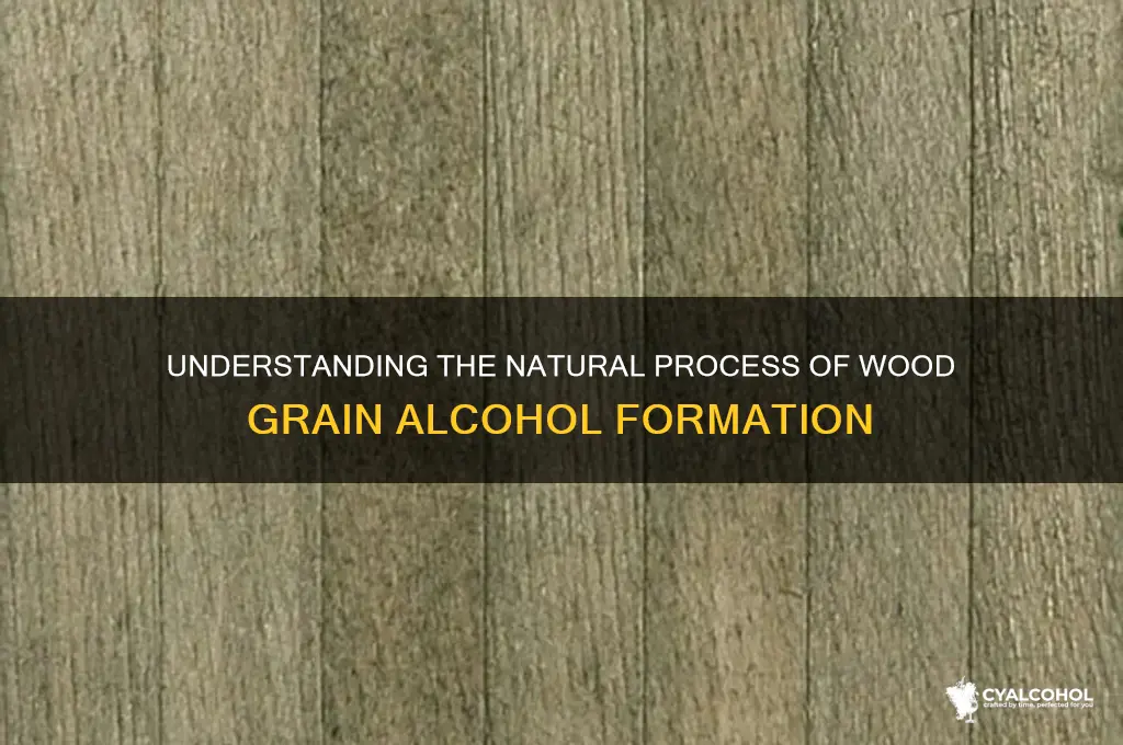 Understanding The Natural Process Of Wood Grain Alcohol Formation ...