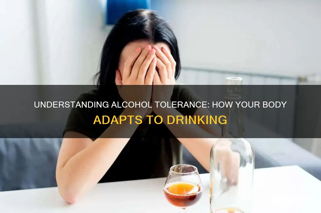 Understanding Alcohol Tolerance: How Your Body Adapts To Drinking ...