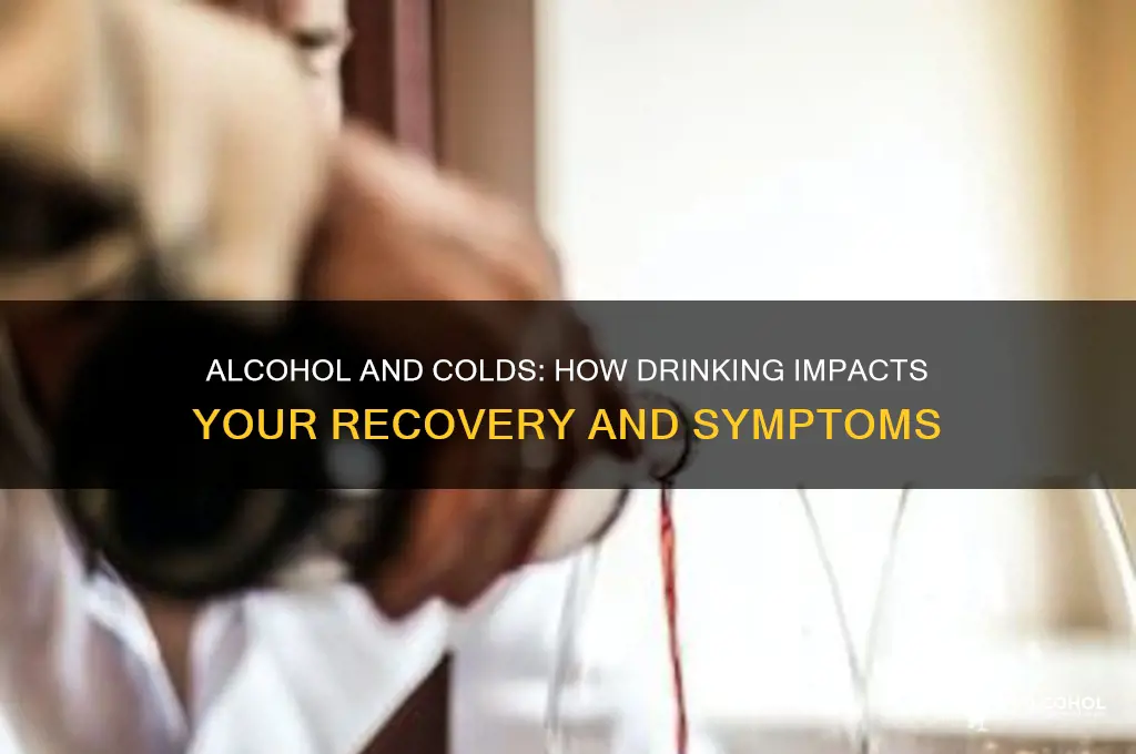 Alcohol And Colds: How Drinking Impacts Your Recovery And Symptoms ...
