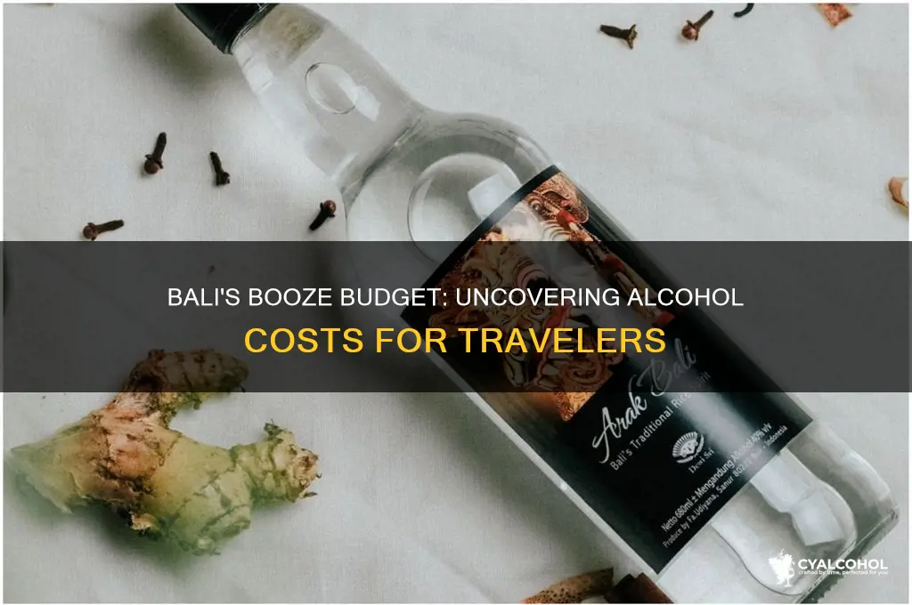 Bali's Booze Budget: Uncovering Alcohol Costs For Travelers | CyAlcohol