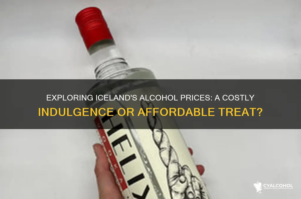 Exploring Iceland's Alcohol Prices: A Costly Indulgence Or Affordable ...