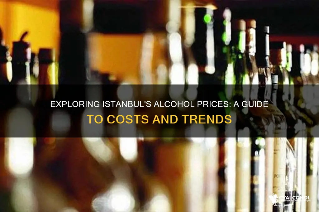 Exploring Istanbul's Alcohol Prices: A Guide To Costs And Trends ...