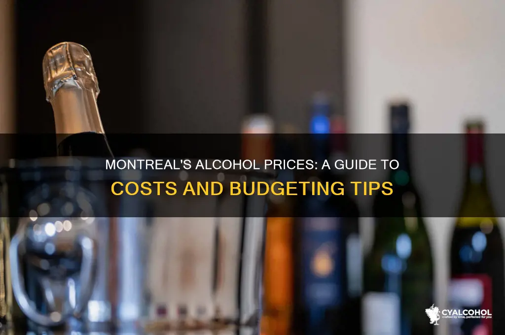 Montreal's Alcohol Prices: A Guide To Costs And Budgeting Tips | CyAlcohol