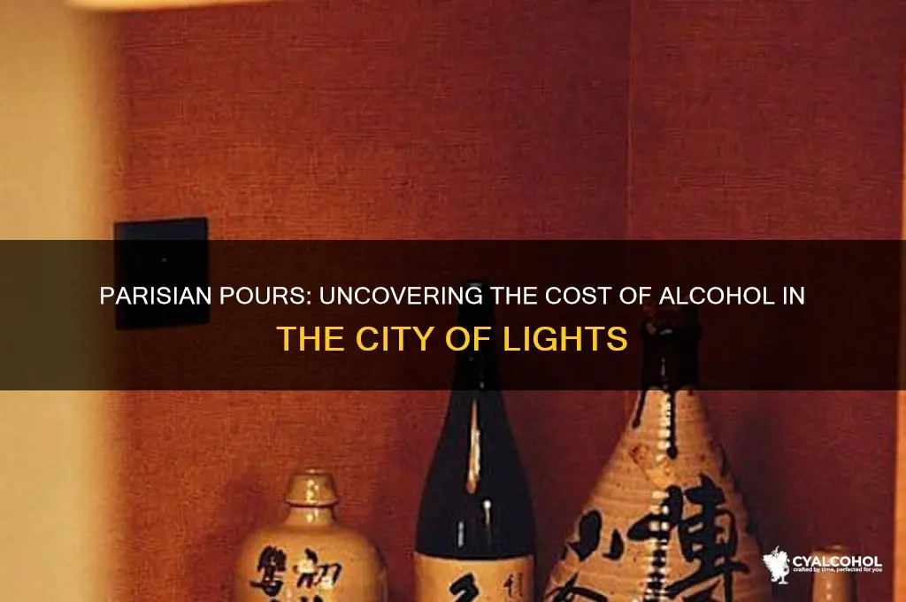 Parisian Pours: Uncovering The Cost Of Alcohol In The City Of Lights ...
