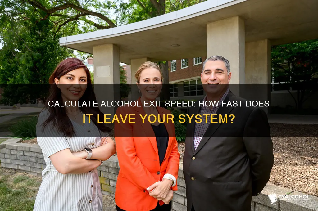 Calculate Alcohol Exit Speed: How Fast Does It Leave Your System ...
