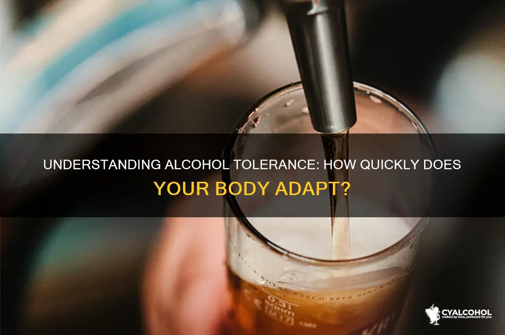 Understanding Alcohol Tolerance: How Quickly Does Your Body Adapt ...