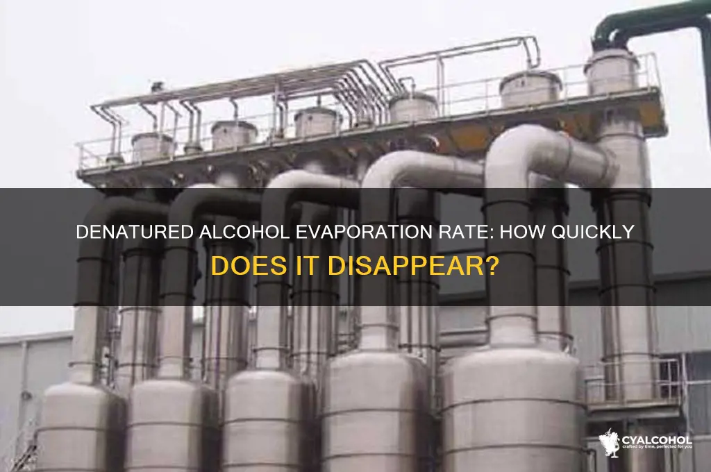 Denatured Alcohol Evaporation Rate: How Quickly Does It Disappear ...