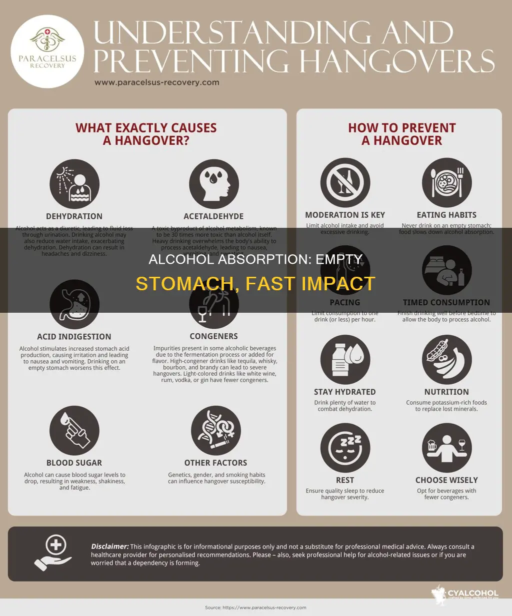 Alcohol Absorption: Empty Stomach, Fast Impact | CyAlcohol