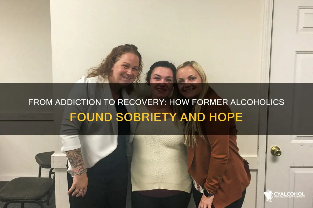 From Addiction To Recovery: How Former Alcoholics Found Sobriety And ...