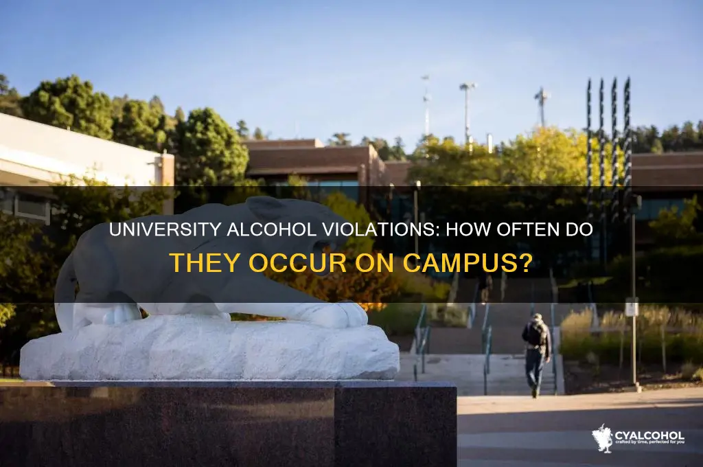 University Alcohol Violations: How Often Do They Occur On Campus ...