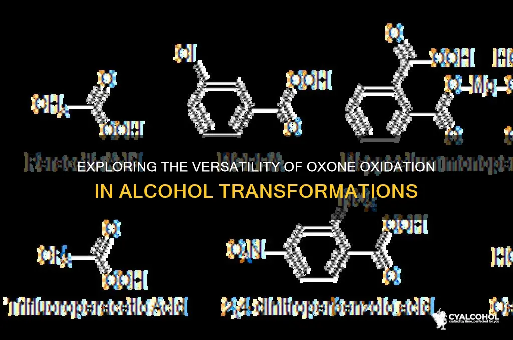 Exploring The Versatility Of Oxone Oxidation In Alcohol Transformations ...
