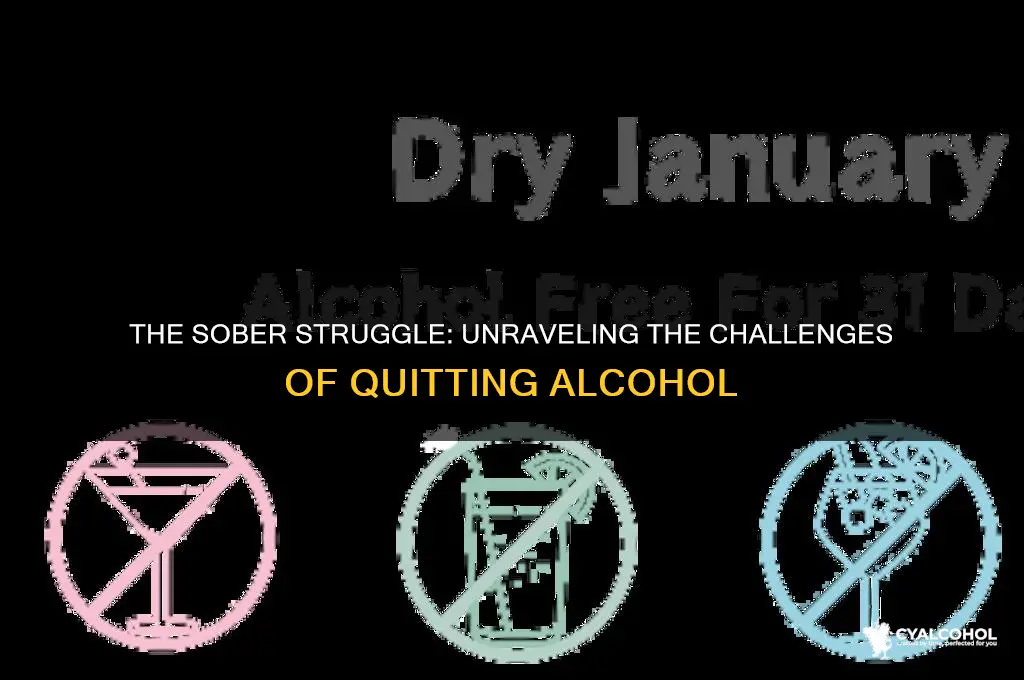 The Sober Struggle: Unraveling The Challenges Of Quitting Alcohol ...