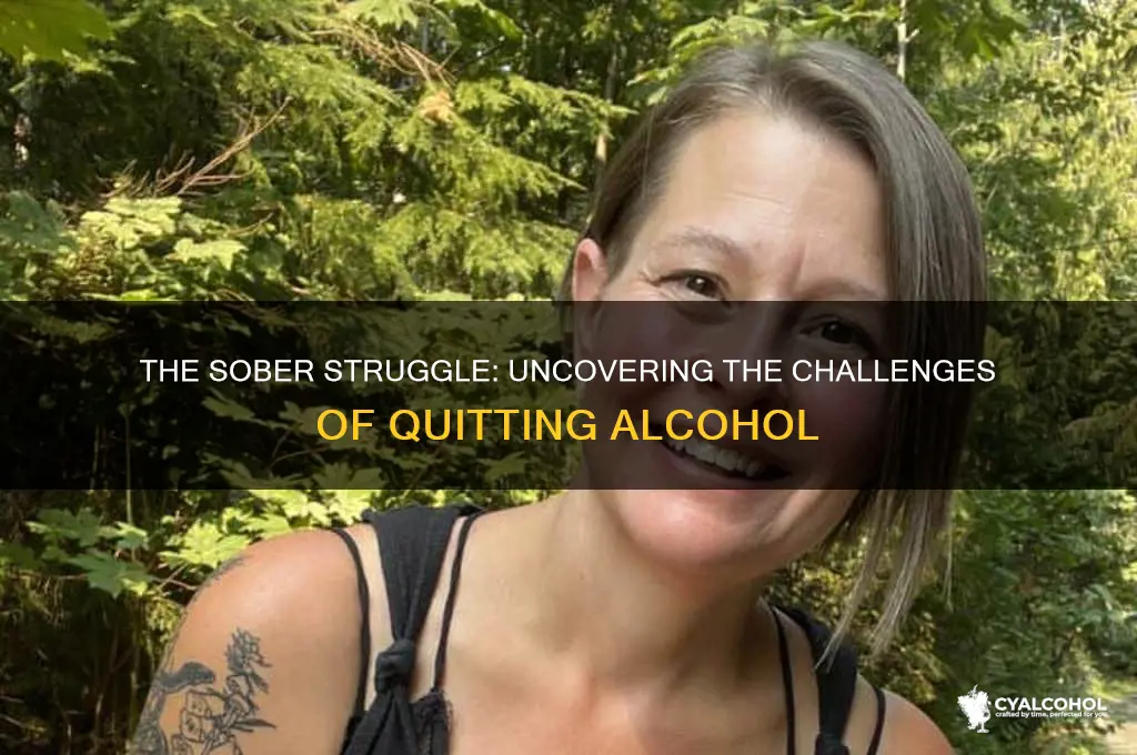 The Sober Struggle: Uncovering The Challenges Of Quitting Alcohol ...
