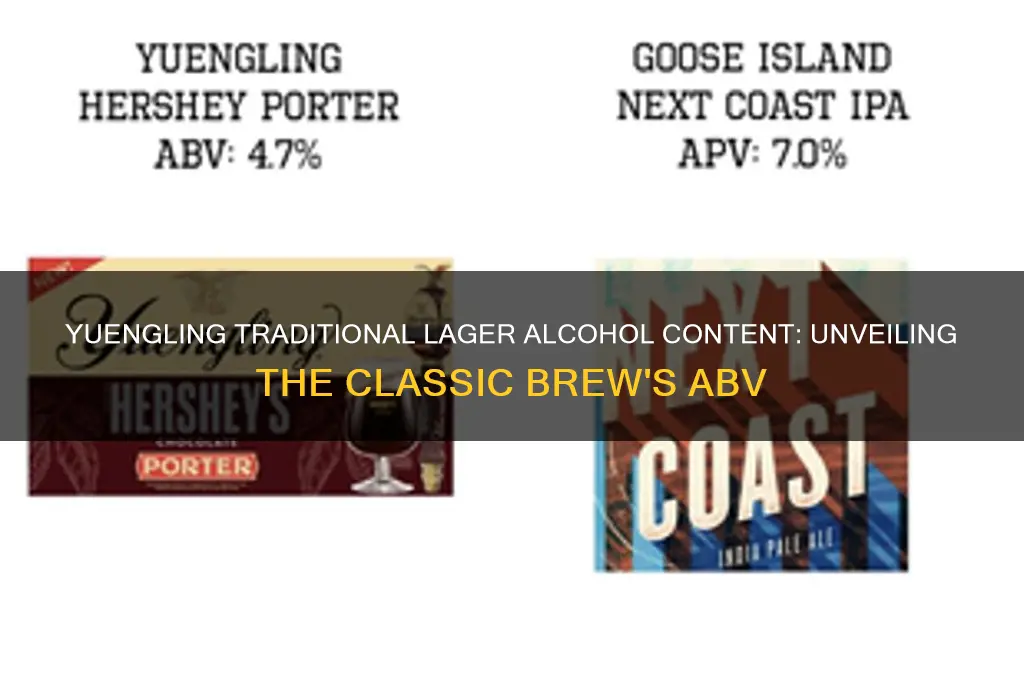 Yuengling Traditional Lager Alcohol Content: Unveiling The Classic Brew ...