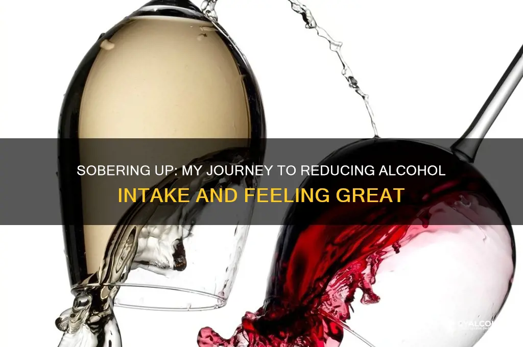 Sobering Up: My Journey To Reducing Alcohol Intake And Feeling Great ...